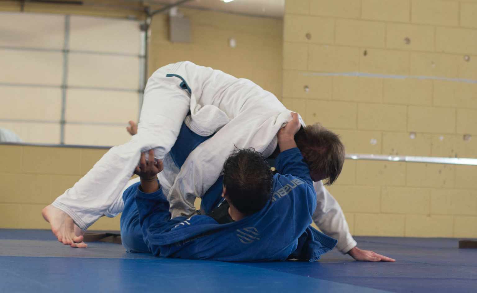 The Different Styles of Jiu Jitsu: Which One is Best for You? - NewsWingz